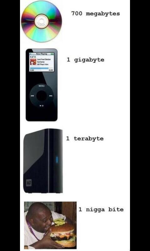 Megabyte Gigabyte Terabyte Niggabyte