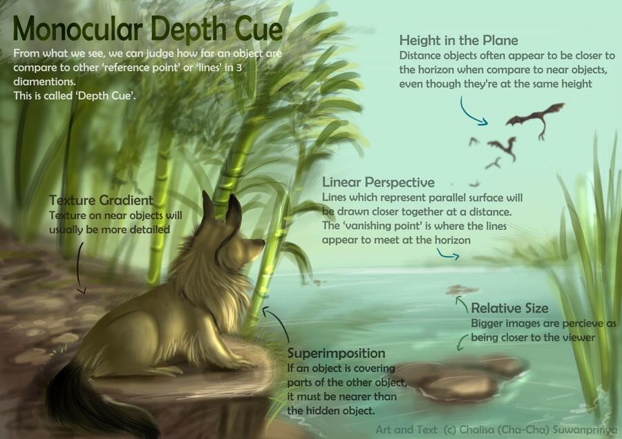 Monocular Cues Texture Gradient