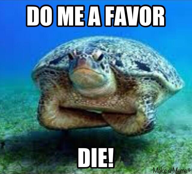 Disappointed Turtle Meme Turtle’s Enthusiasm Is Contagious! #foryou