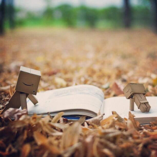 Amazon Danbo