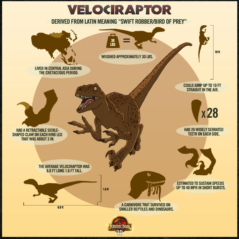 Dinosaurs Velociraptor Facts