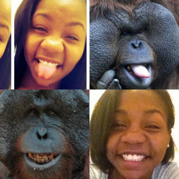 Ugly Gorilla Girl