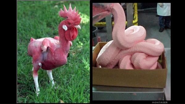 Kfc Mutant Chicken