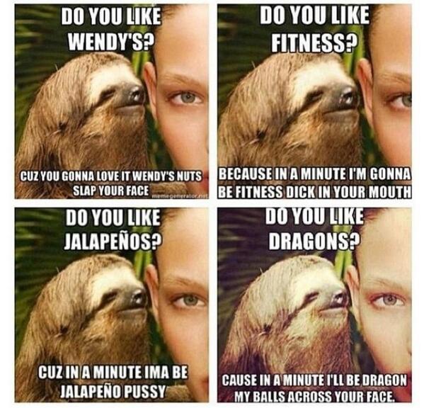 Do You Like Sloth Meme