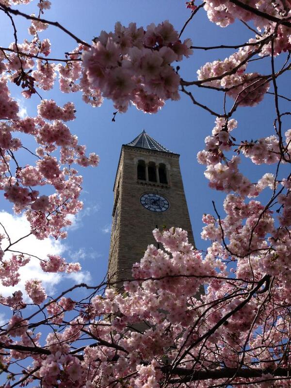 Cornell University Spring