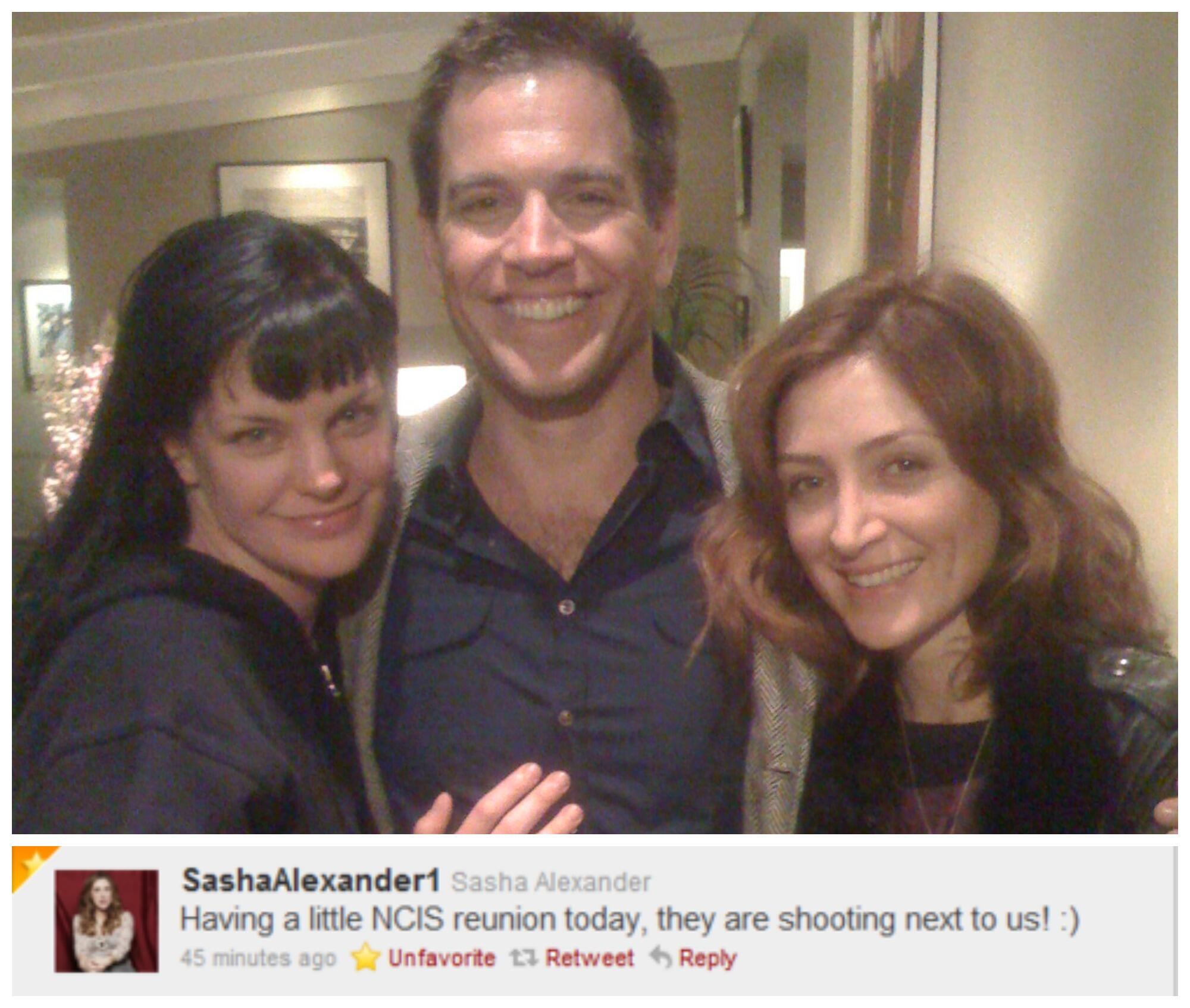 Sasha Alexander Ncis