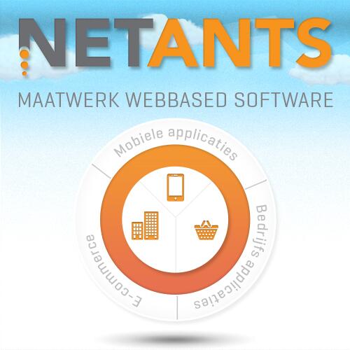 SERVICIOS DE INTERNET