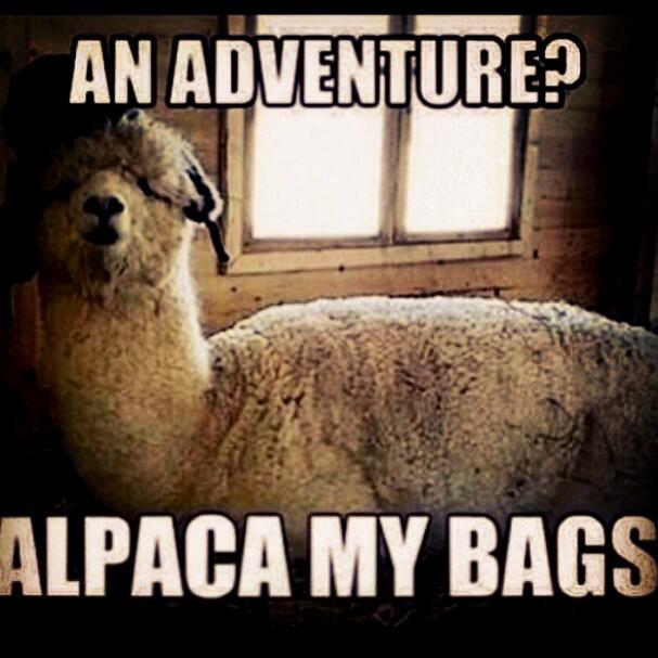 Alpaca My Bags Meme