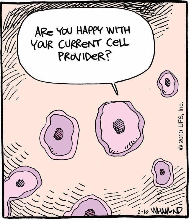 Funny Cell Biology Cartoons