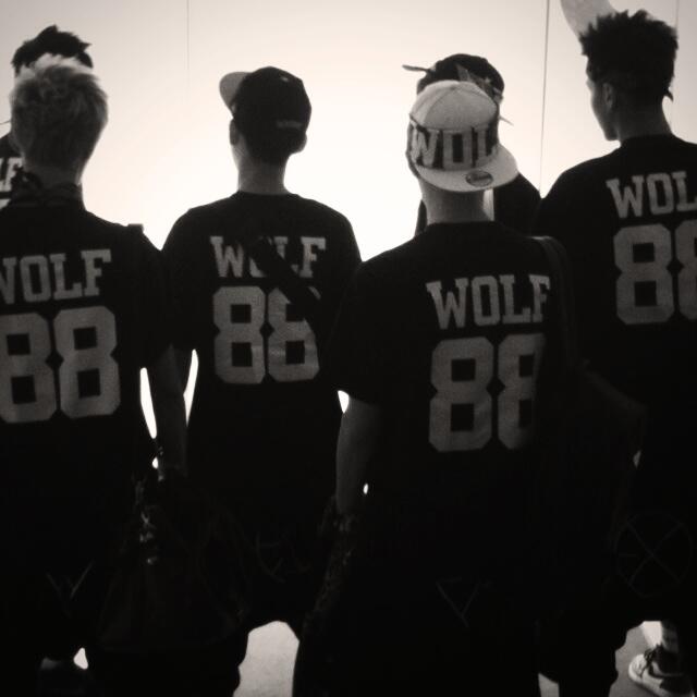 Exo Logo Wolf 88