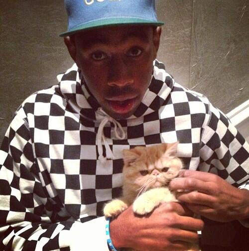 Tyler The Creator Native Cat