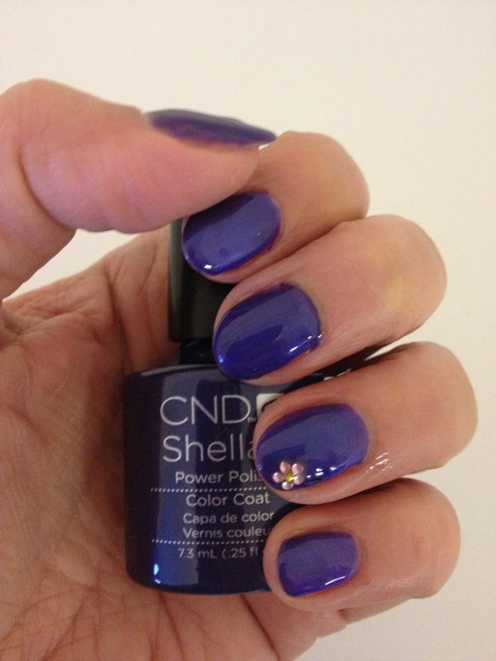 Shellac Purple Purple