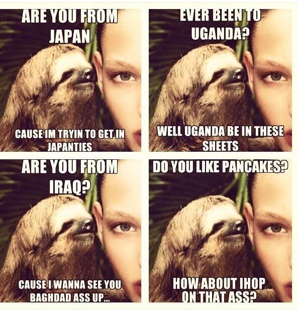 Sloth Memes Do You Like