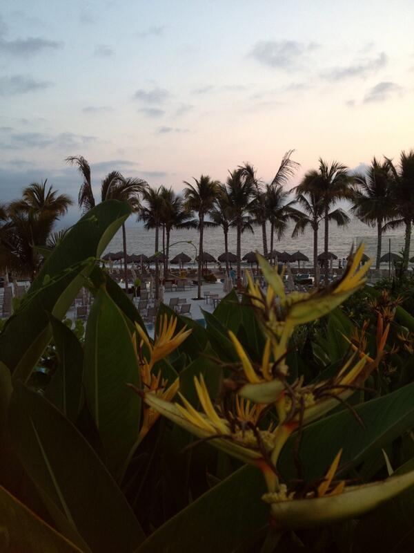 Gunner Moose (@GunnerMoose) | Twitter