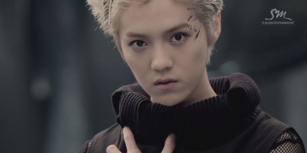 Exo Wolf Logo Wallpaper