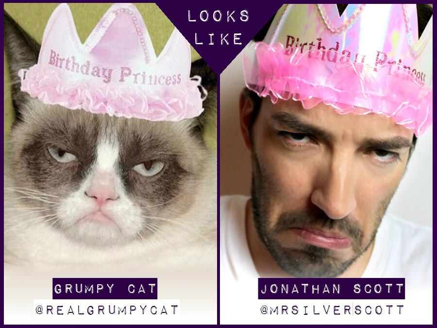 Cat Beard Grumpy Cat