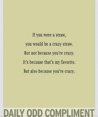 Daily Odd Compliment