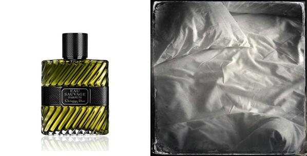 Pursuit Of Scent Pursuitofscent Posts X