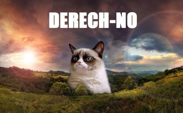 Grumpy Cat Nope Wallpaper