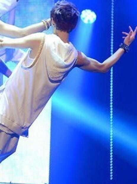 Luhan Arms