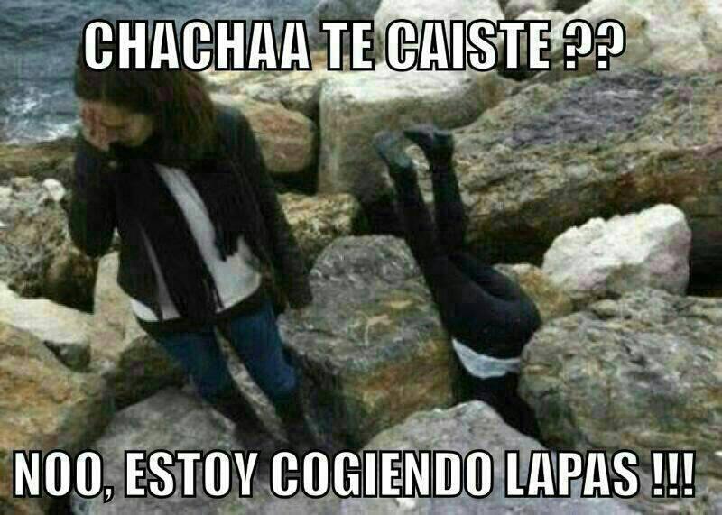 Memes Te Caiste Capture Bizarre® On X: "https://t.co/deOXRHz64r" / X