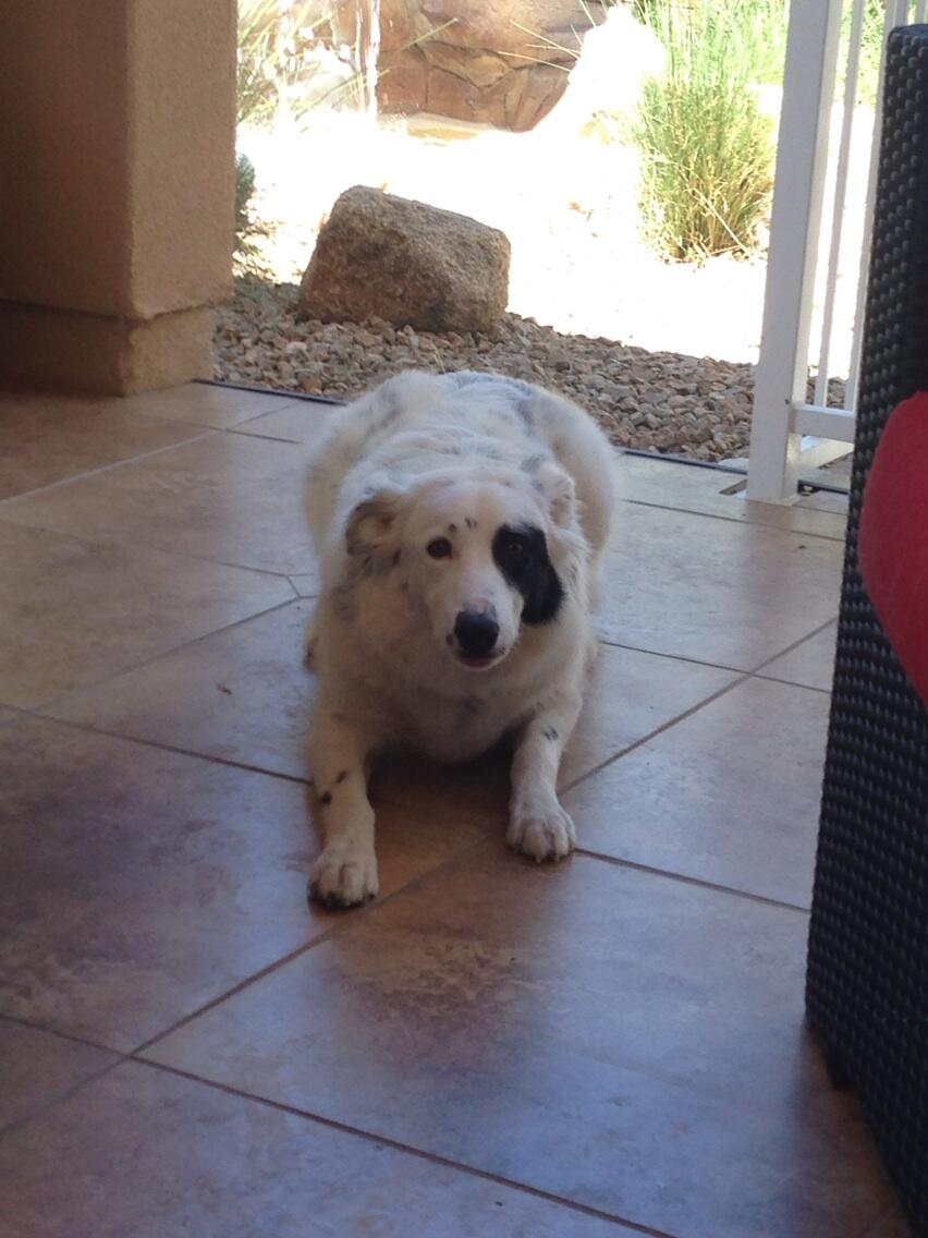 Faith Harrod Zak Bagans