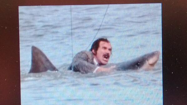 chris samuelson (@chrissam165) | Twitter