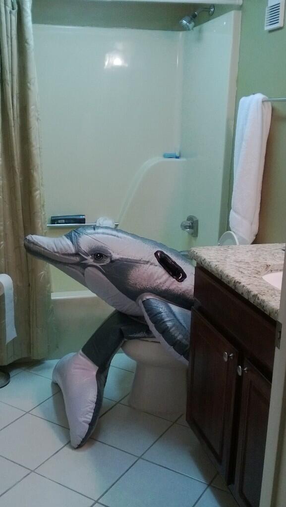 chris samuelson (@chrissam165) | Twitter