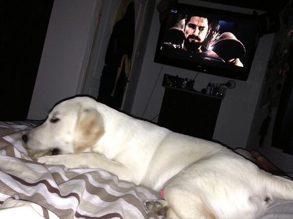 warren lynch (@LynchWarren) | Twitter