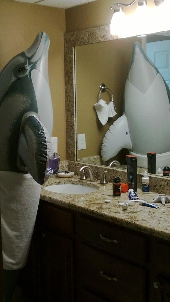 chris samuelson (@chrissam165) | Twitter