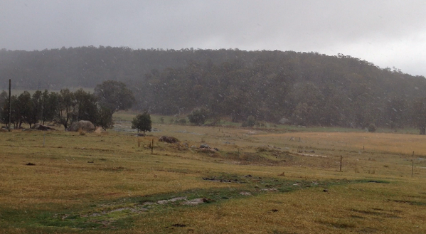 这个冬天很冷，昆士兰南部昨天下午也下雪了 - 新闻汇总 - 新足迹 - Powered by Discuz!