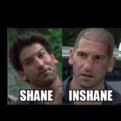 The Walking Dead Shane Meme