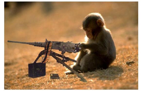 Angry Monkey With Gun