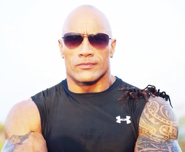 Dwayne Johnson Quote Devil
