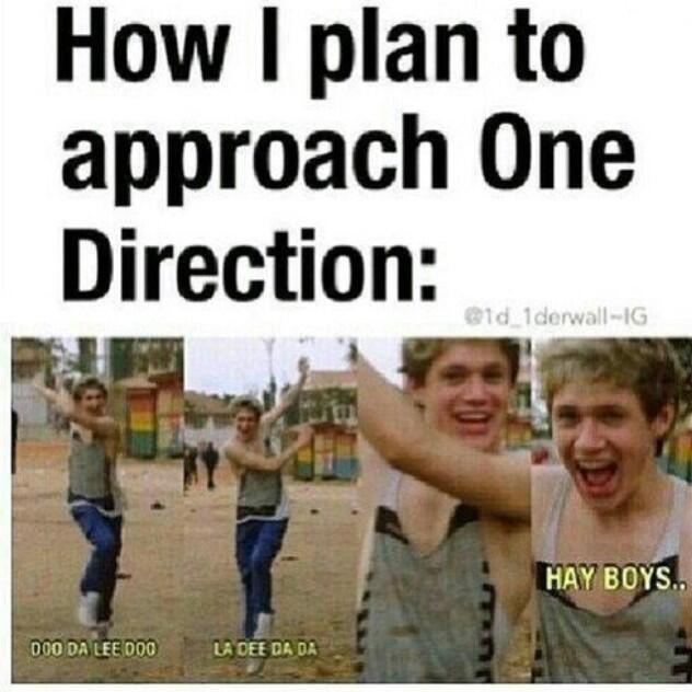 Really Funny Pictures Of One Direction With Captions