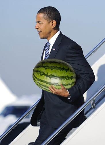 Obama Kfc Watermelon