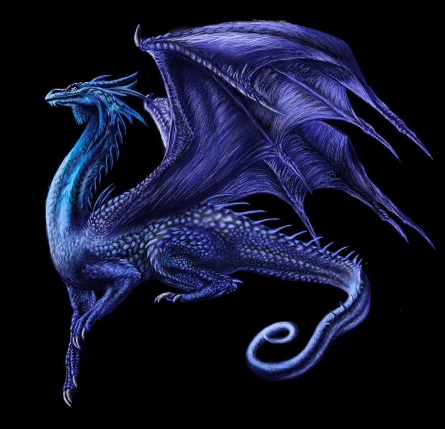 Saphira Wallpaper