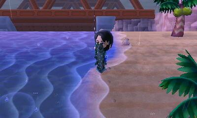 Animal Crossing New Leaf Coelacanth Shadow