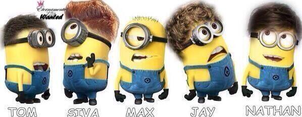 Minion One Direction
