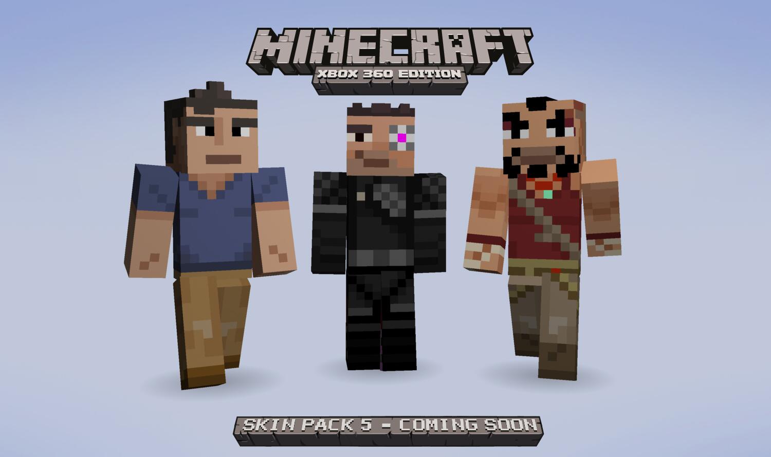Xbox 360 Minecraft Skin Pack 5