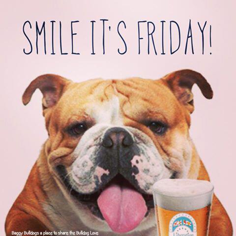 Happy Friday Bulldog