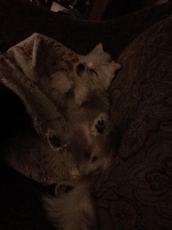 Leslie Hackney (@LCHackney) | Twitter