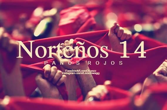 Nortenos 14