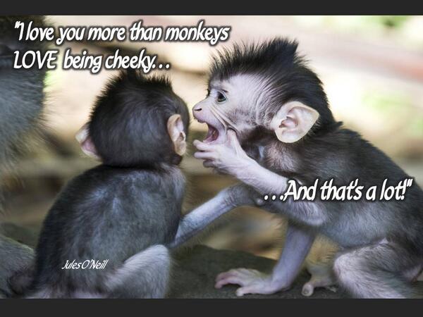Cute Monkeys In Love