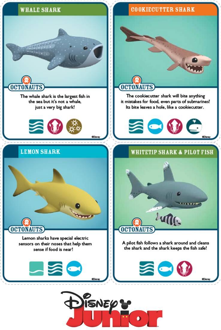 The New Shark Octonauts