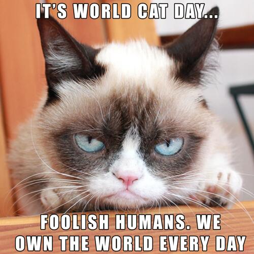 Worldcat Day Meme