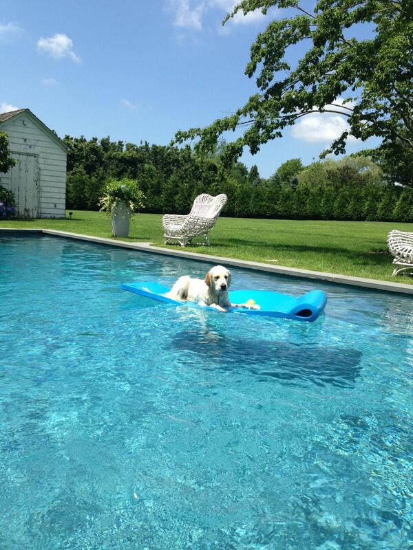 Jimmy Fallon Pool