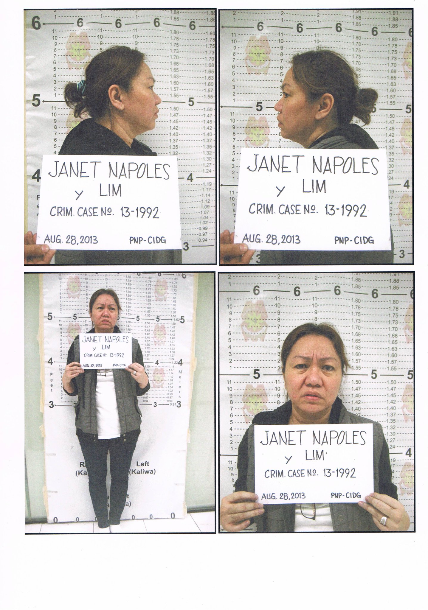 Janet Lim Napoles Jokes