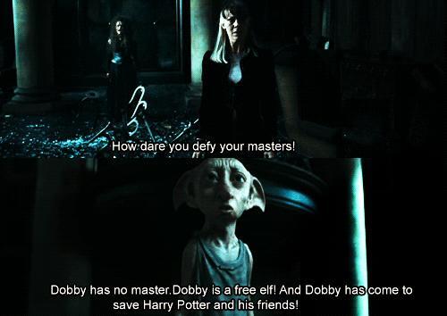 Dobby Has No Master