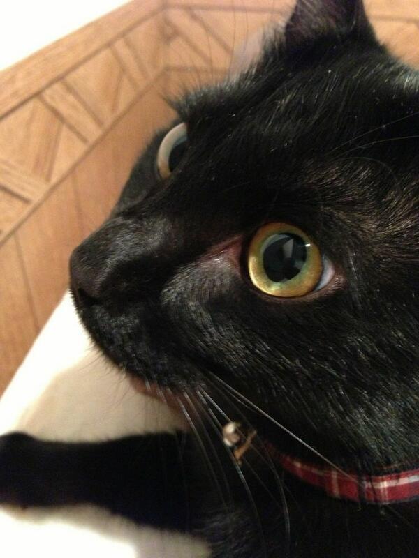 Test Devcon 3 Test Devcon 3 Twitter